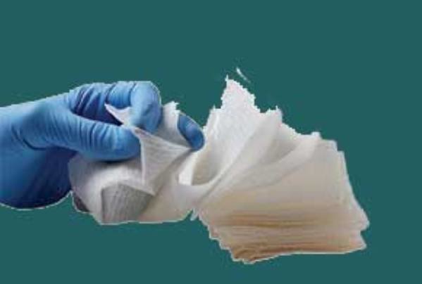 Bandage made of crustacean shell helps rapid wound healing - Mehr News ...