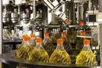 Significant 10% growth in edible oil production volume in eight months ...