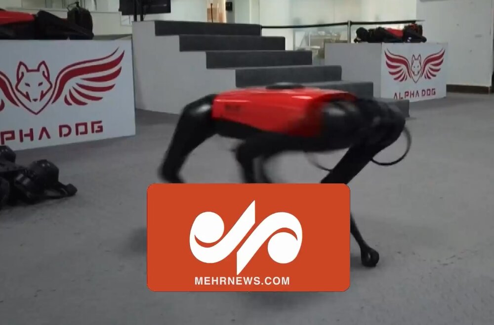 Mehr News Agency - VIDEO: Chinese tech company develops robot dog