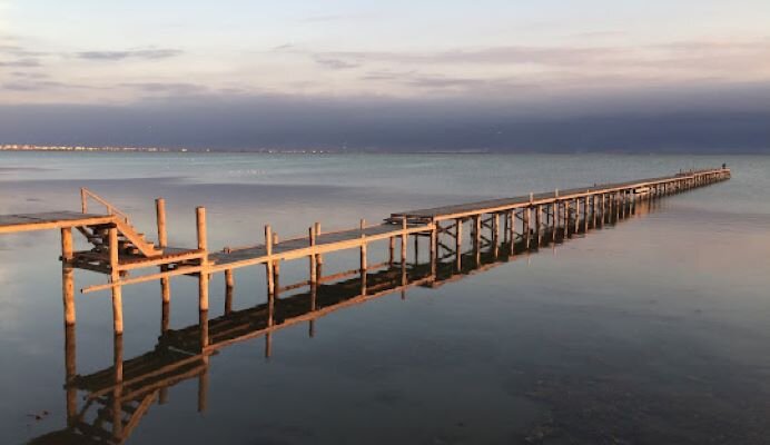 Mehr News Agency - Successful restoration of Gorgan Bay in 2023