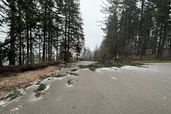 High winds, thunderstorms knock out power in Oregon - Mehr News Agency