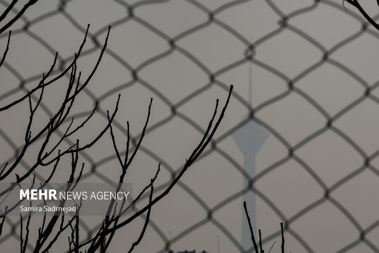 Bokep indo viral indo