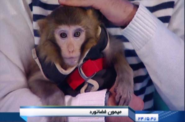 Iran's Space Monkey Mission was not Fake, Pictures Reveal - Mehr News ...